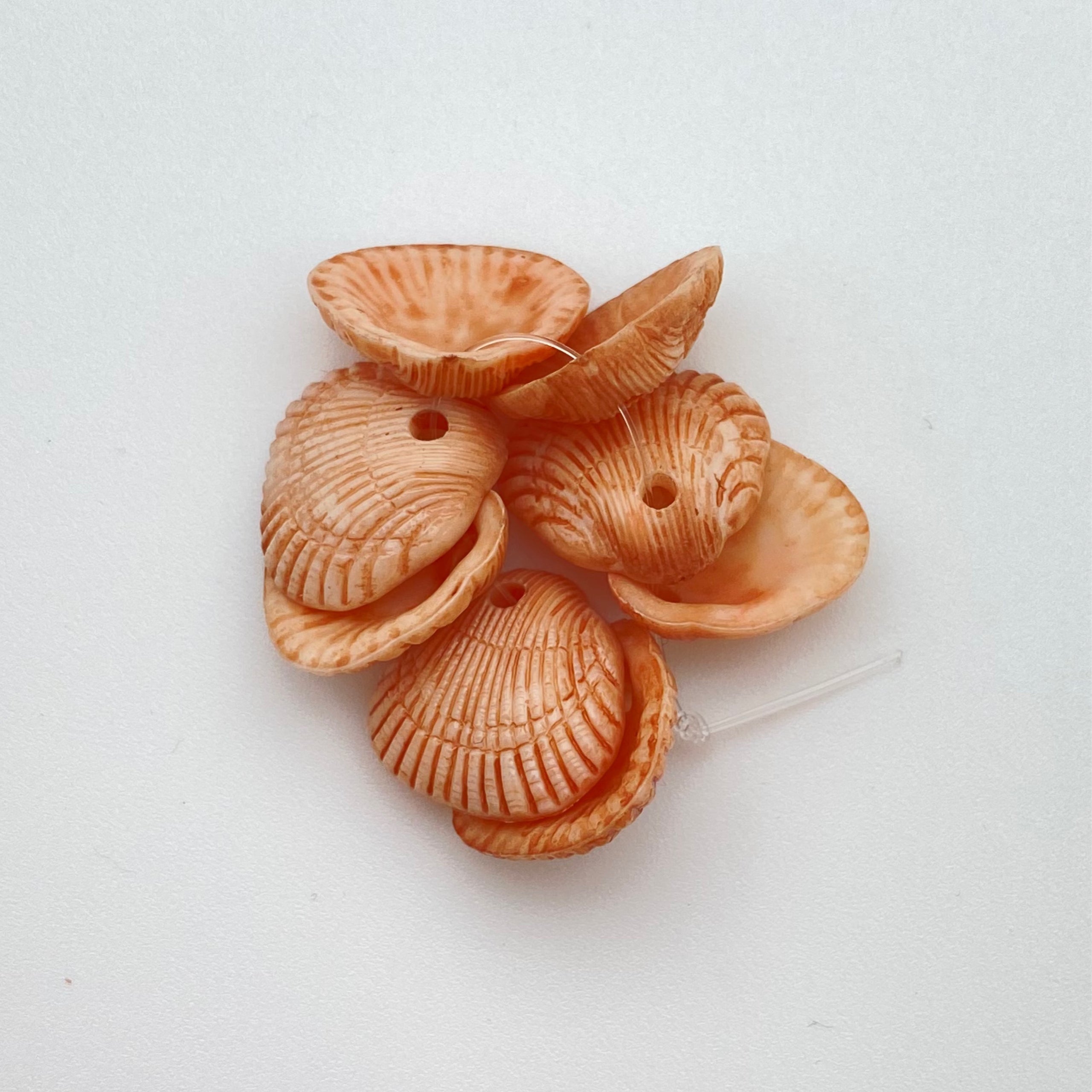 Clam Shell Drop 18mm Natural - NY-0050-E | Ava Motherwell Collection